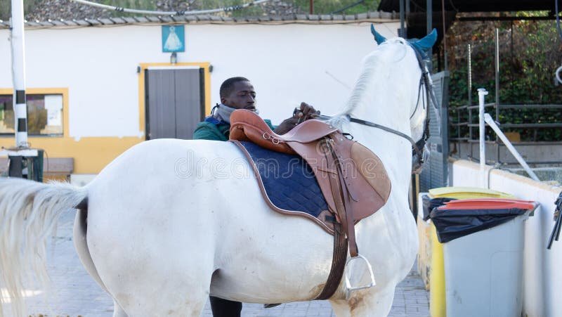 Cuáles son los pasos esenciales que debe seguir un jockey en carrera Cuáles son los pasos esenciales que debe seguir un jockey en carrera